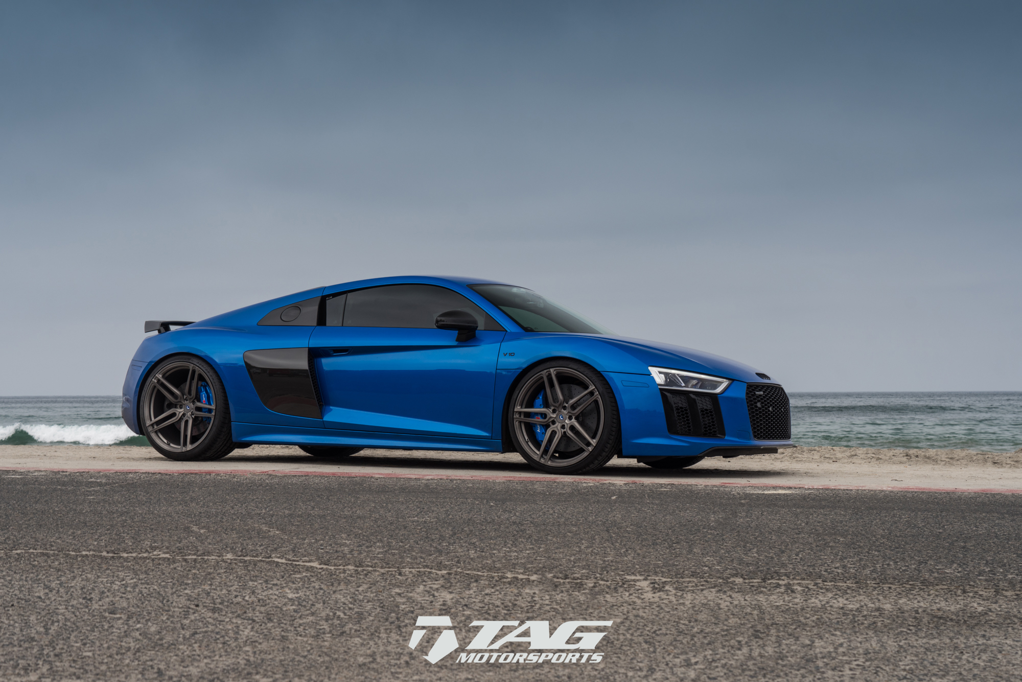 WHAT A BLUETIFUL ARA! ARA BLUE R8 - Vossen + KW + Neidfaktor - TAG ...