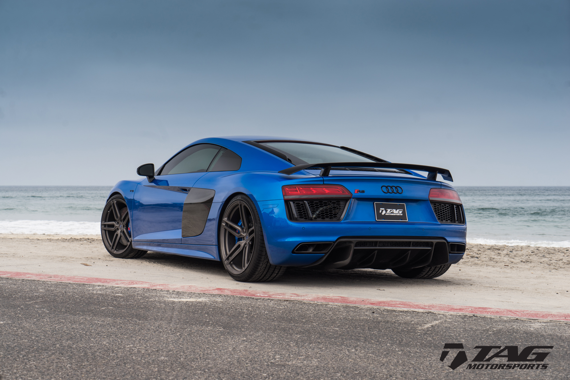 WHAT A BLUETIFUL ARA! ARA BLUE R8 - Vossen + KW + Neidfaktor - TAG ...