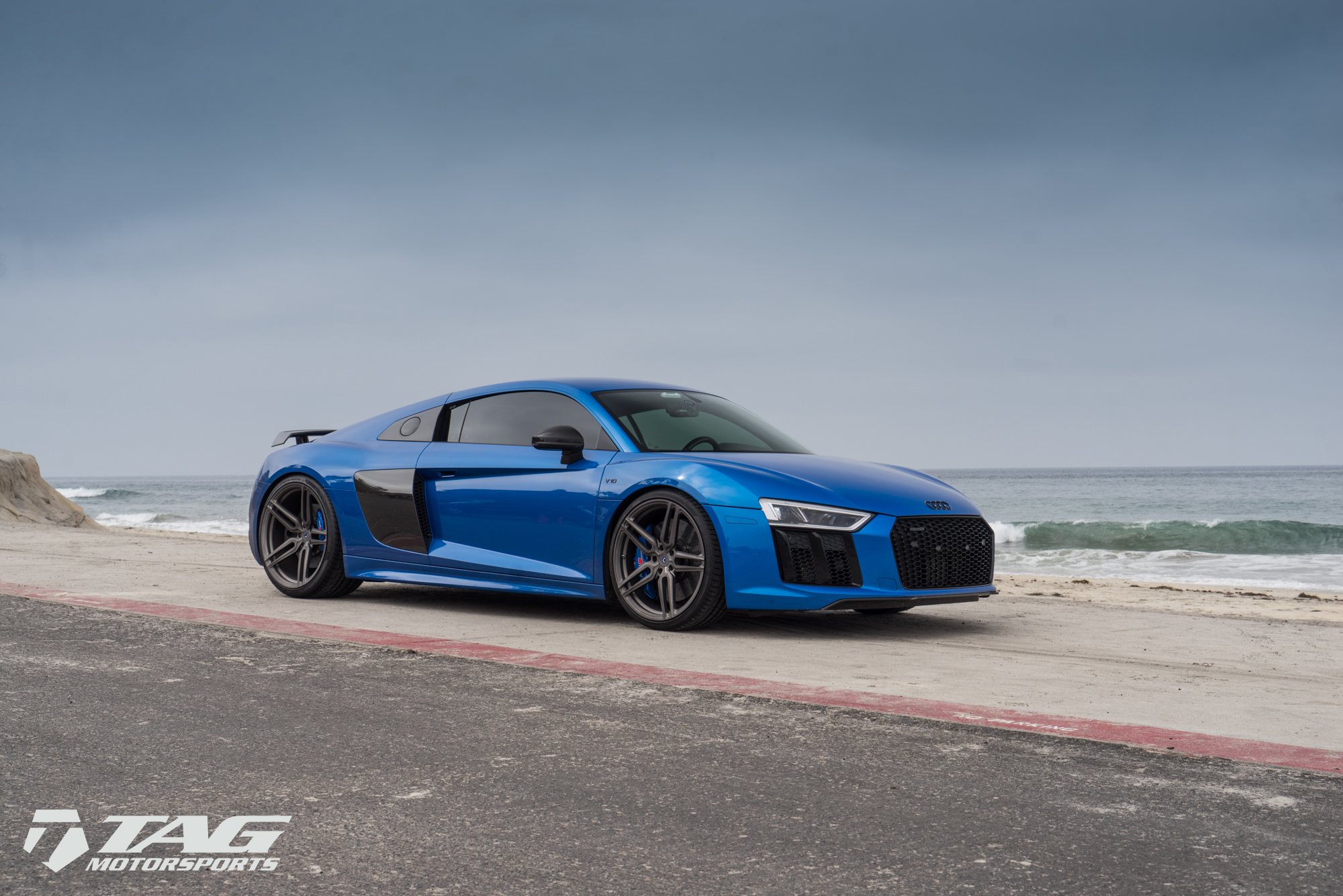 WHAT A BLUETIFUL ARA! ARA BLUE R8 - Vossen + KW + Neidfaktor - TAG ...
