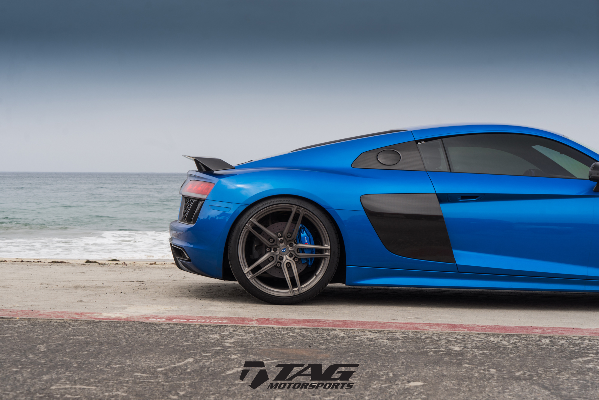 WHAT A BLUETIFUL ARA! ARA BLUE R8 - Vossen + KW + Neidfaktor - TAG ...