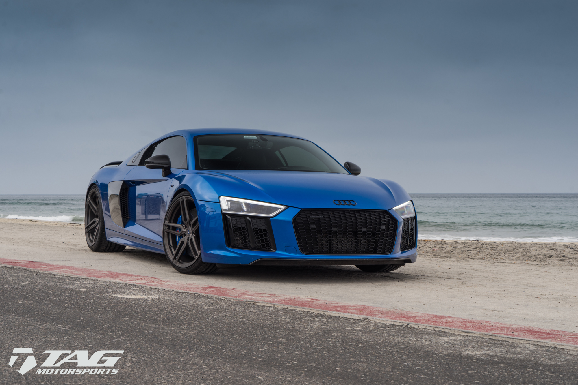 WHAT A BLUETIFUL ARA! ARA BLUE R8 - Vossen + KW + Neidfaktor - TAG ...