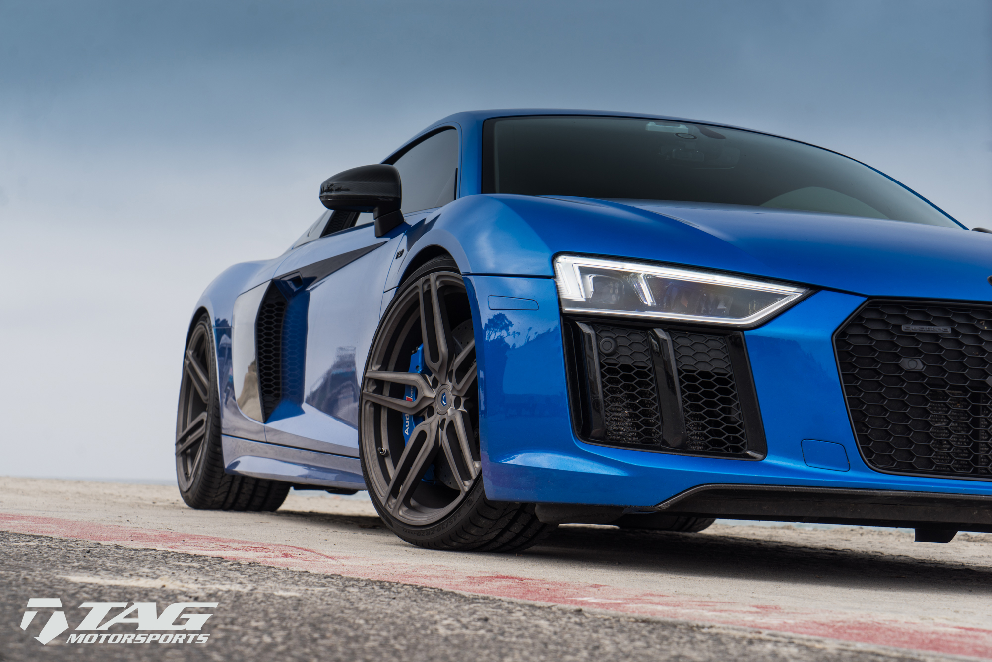 WHAT A BLUETIFUL ARA! ARA BLUE R8 - Vossen + KW + Neidfaktor - TAG ...