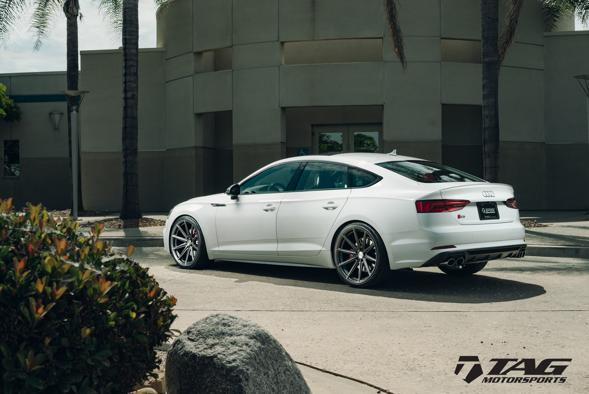 Audi S5 Sportback Lowering Springs at Lola Wall blog