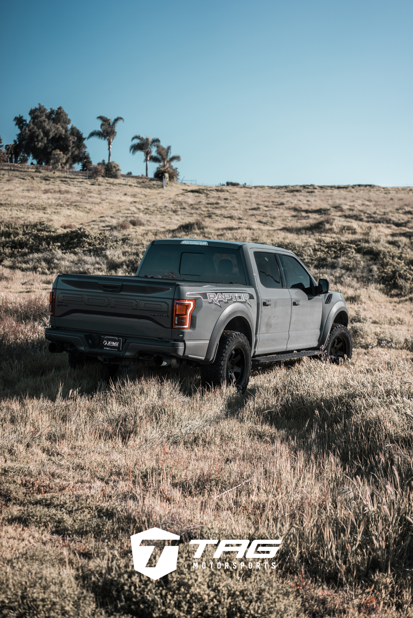 FORD RAPTOR From One Of Audizines Own - ROTIFORM x EIBACH x AWE - TAG ...