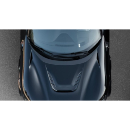 Novitec Carbon Rear Engine Bonnet Insert for Ferrari Purosangue | TAG ...