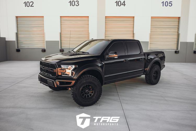 Blacked Out Raptor